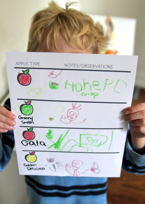 Apple Taste Test Graph